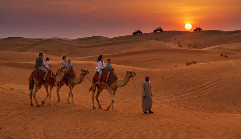 Passeios de camelo em Abu Dhabi, excursões de luxo ao pôr do sol em ...